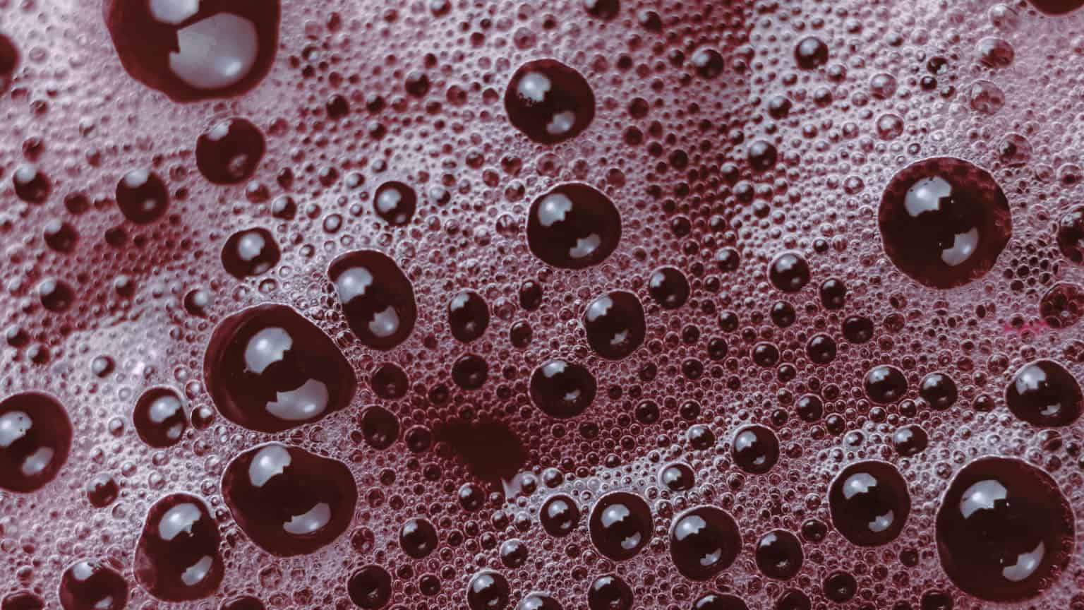 Secondary fermentation - Mathier Weine von Adrian & Diego Mathier aus ...