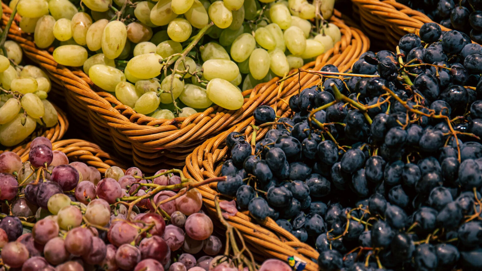 Grape varieties - Adrian & Diego MATHIER NOUVEAU SALQUENEN