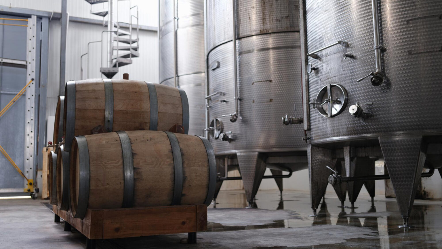 Vinification - Adrian & Diego MATHIER NOUVEAU SALQUENEN